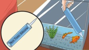 7 Simple & Fail-Proof Steps For How To Repair Cracked Aquarium Glass ...