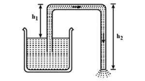 How to Siphon Water From a Lower Level to a Higher Level? - Our Aquariums